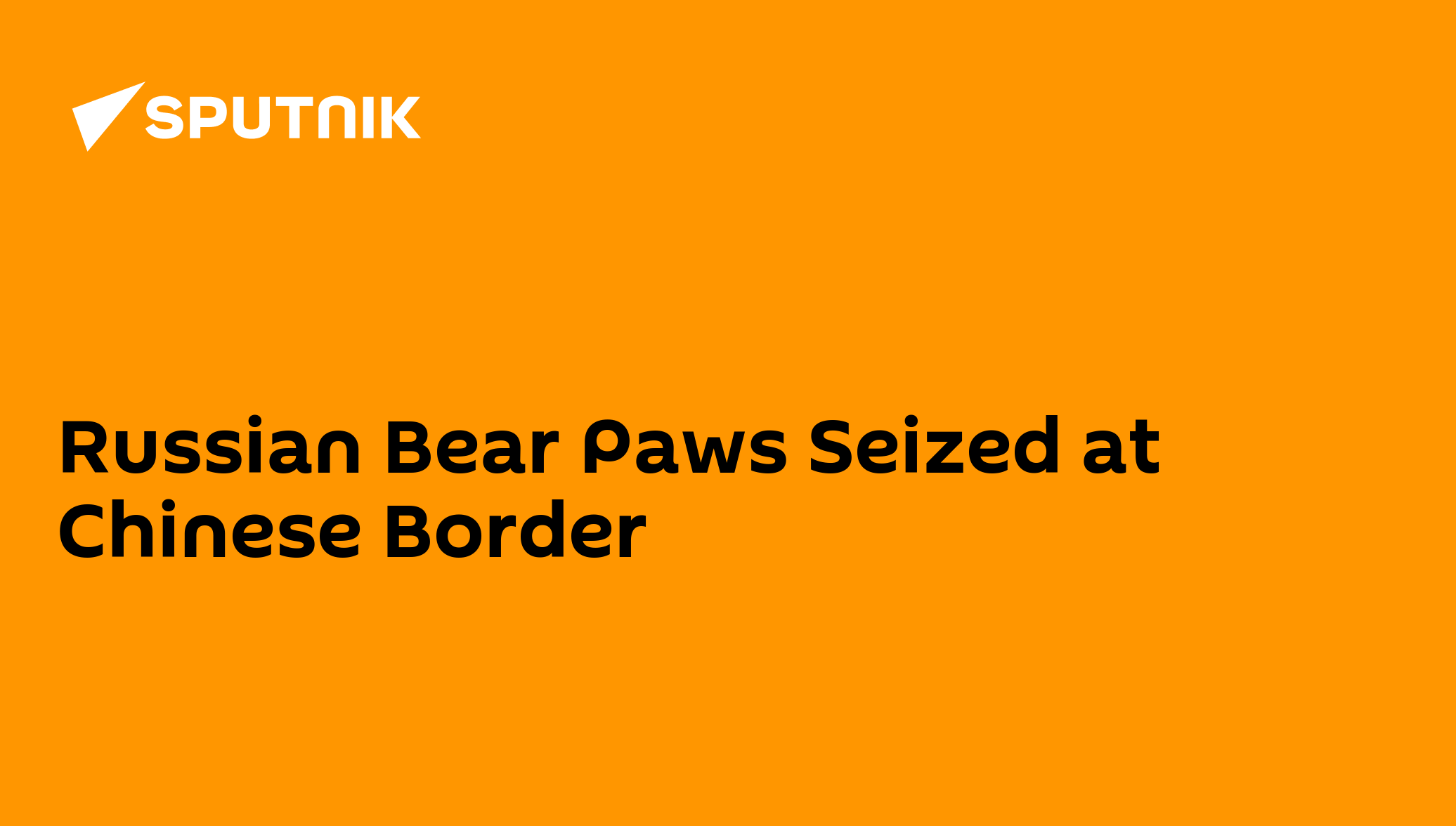 Russian Bear Paws Seized at Chinese Border - 09.04.2013, Sputnik ...