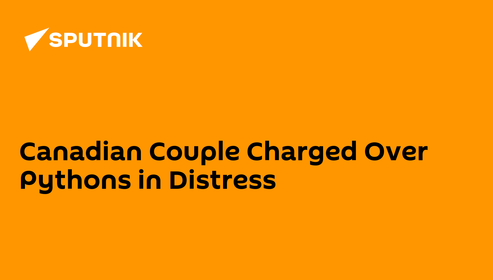 Canadian Couple Charged Over Pythons in Distress - 24.08.2013, Sputnik ...