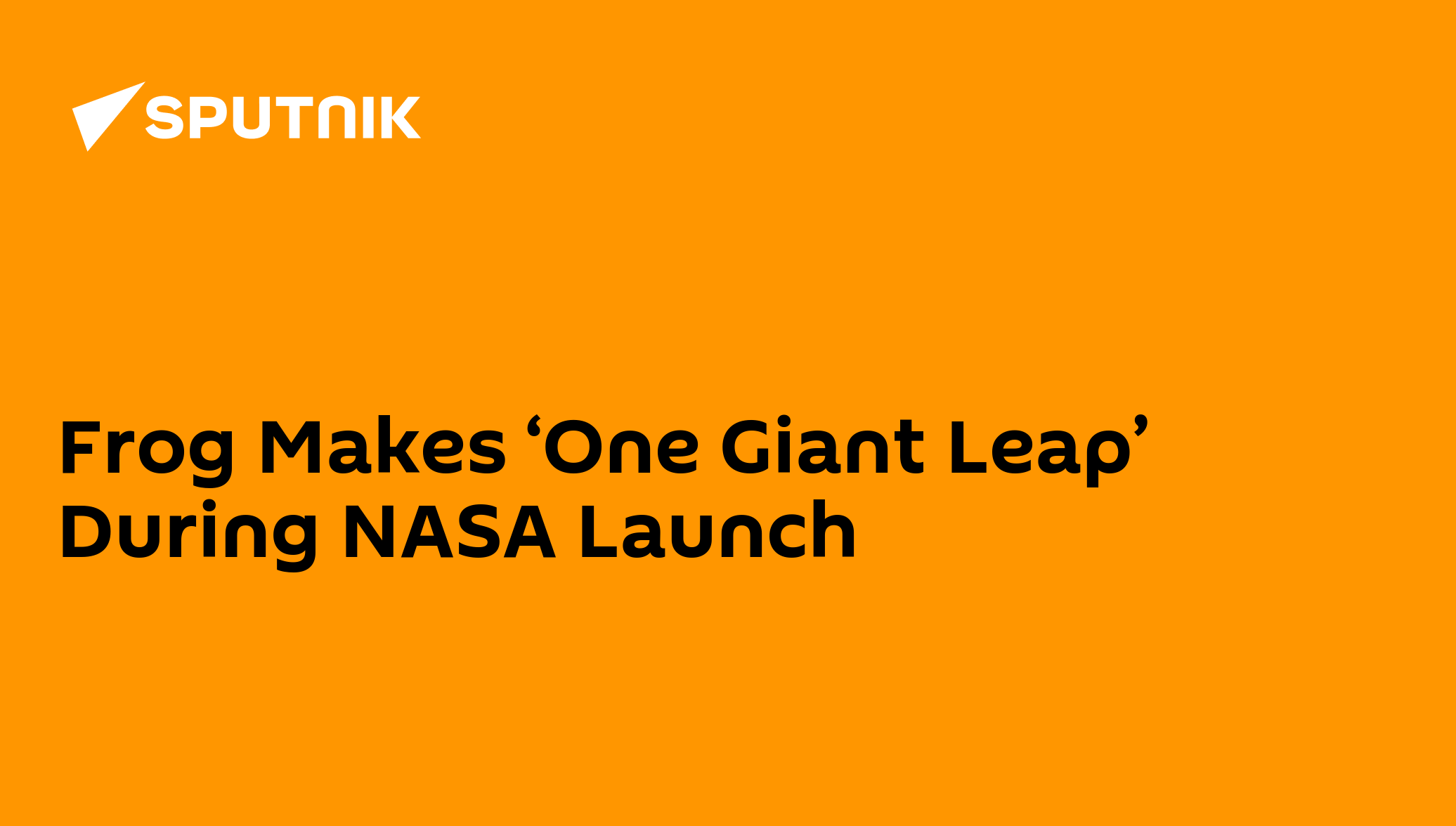 Frog Makes ‘One Giant Leap’ During NASA Launch - 12.09.2013, Sputnik ...