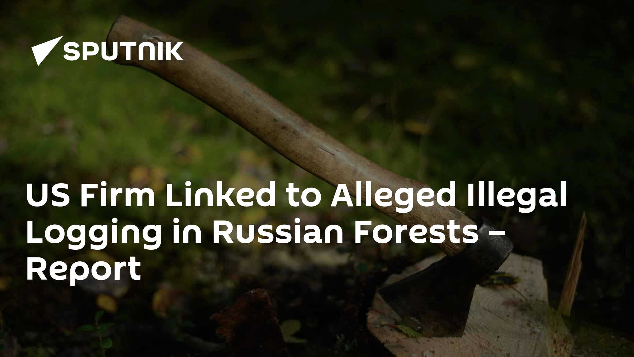 US Firm Linked to Alleged Illegal Logging in Russian Forests – Report ...