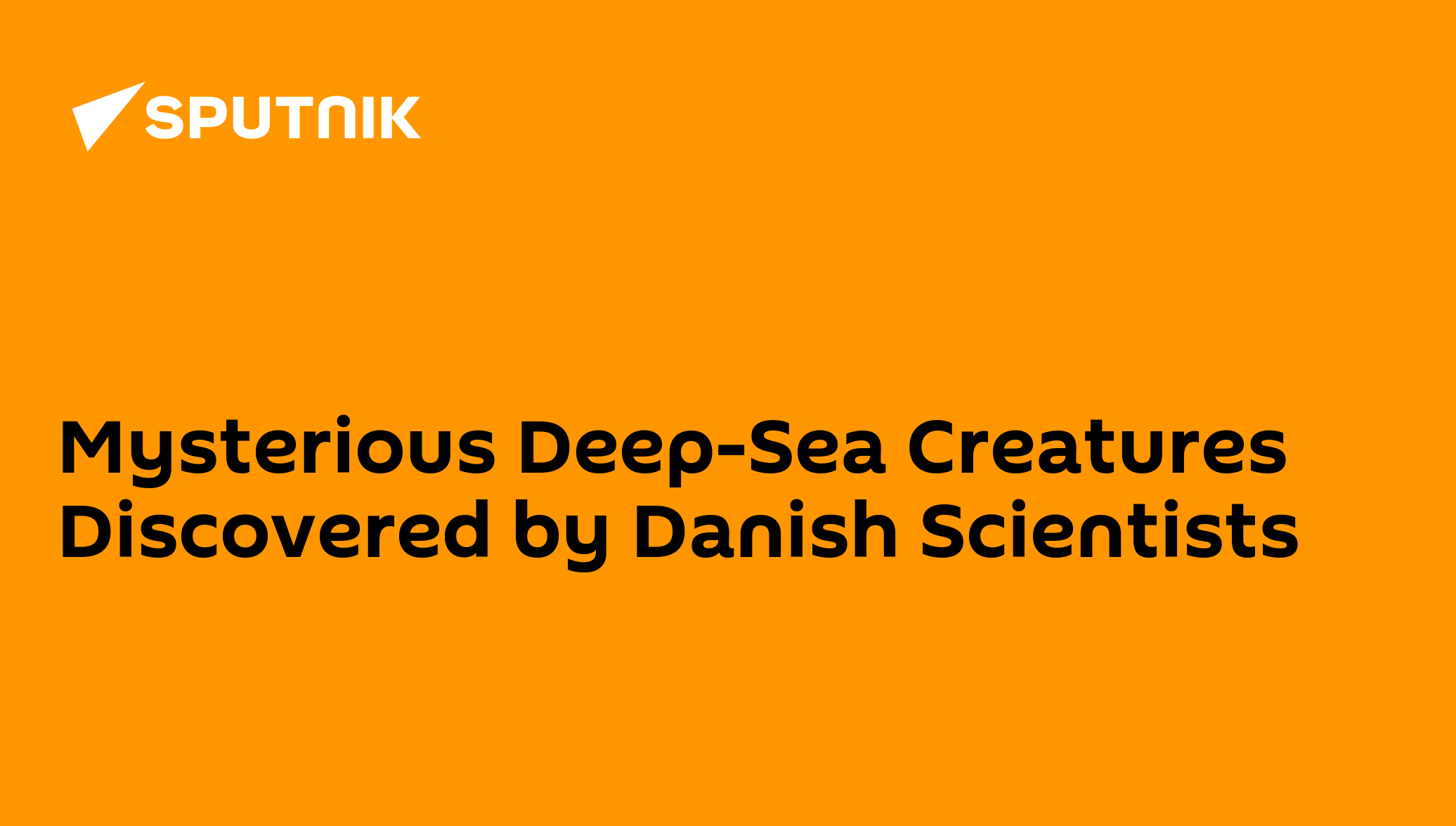Mysterious Deep-Sea Creatures Discovered by Danish Scientists - 11.09. ...