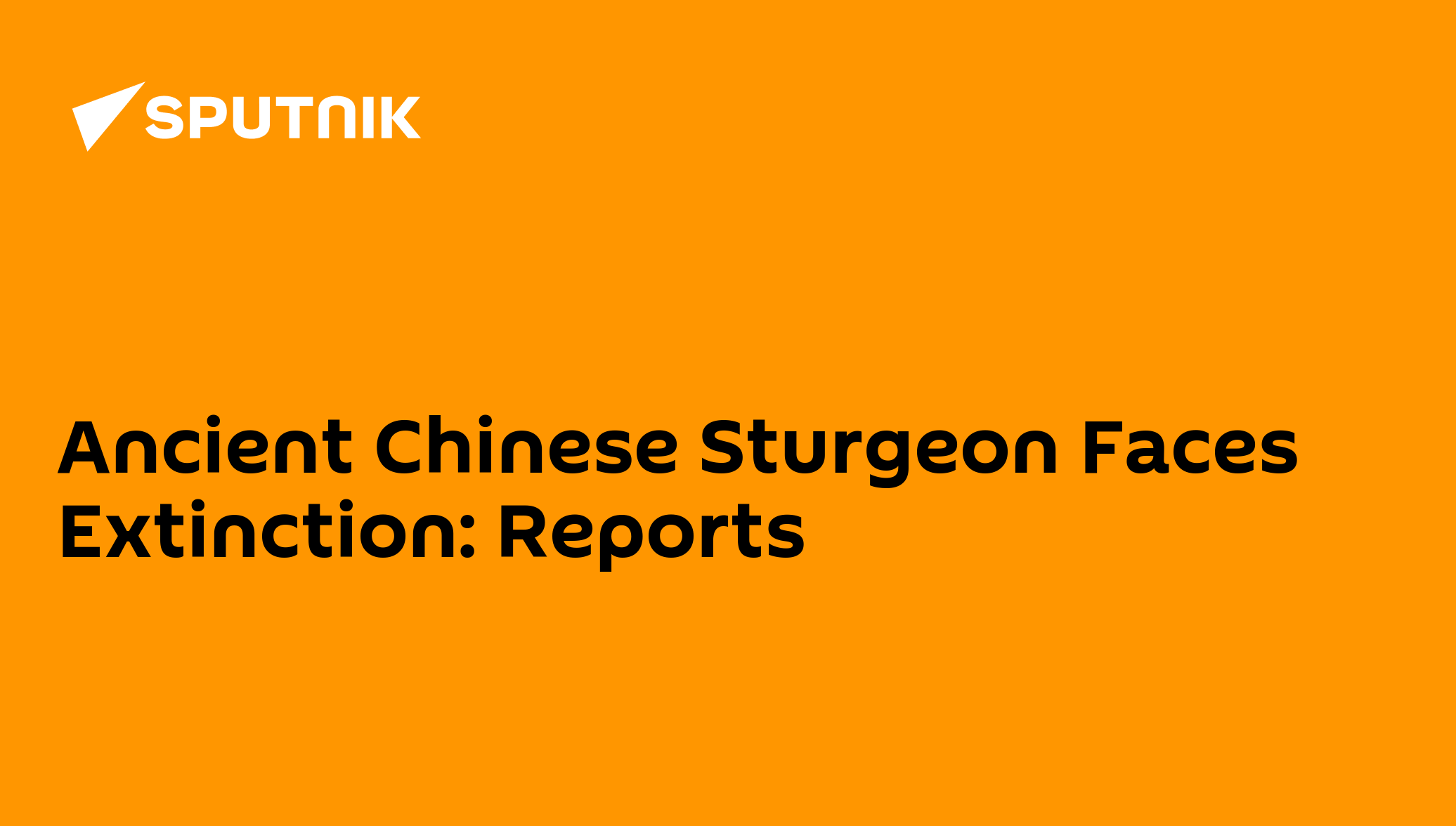 Ancient Chinese Sturgeon Faces Extinction: Reports - 15.09.2014, Sputnik International