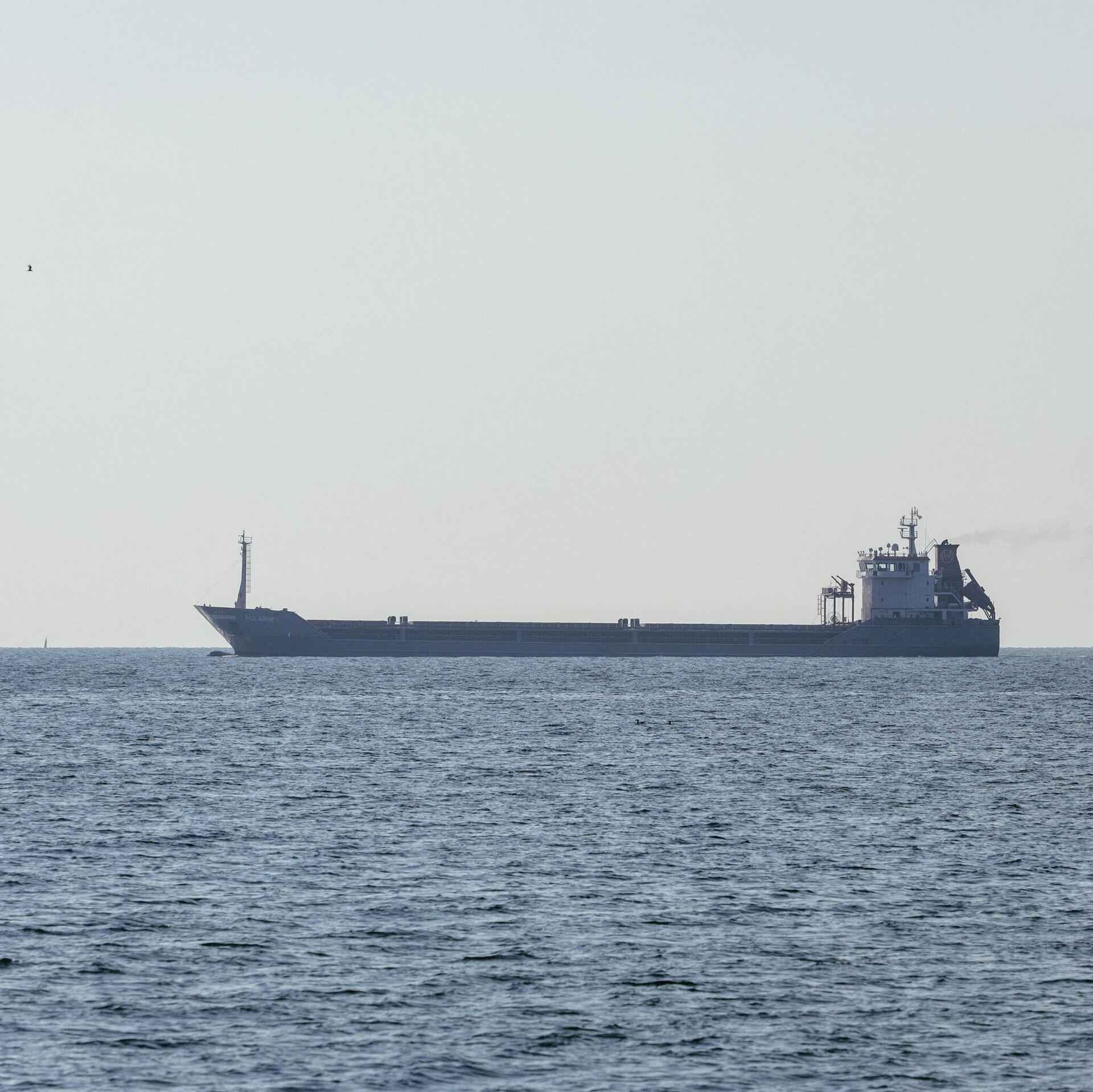 LIVE UPDATES: Polarnet Vessel With 12,000 Tonnes of Ukrainian Corn ...