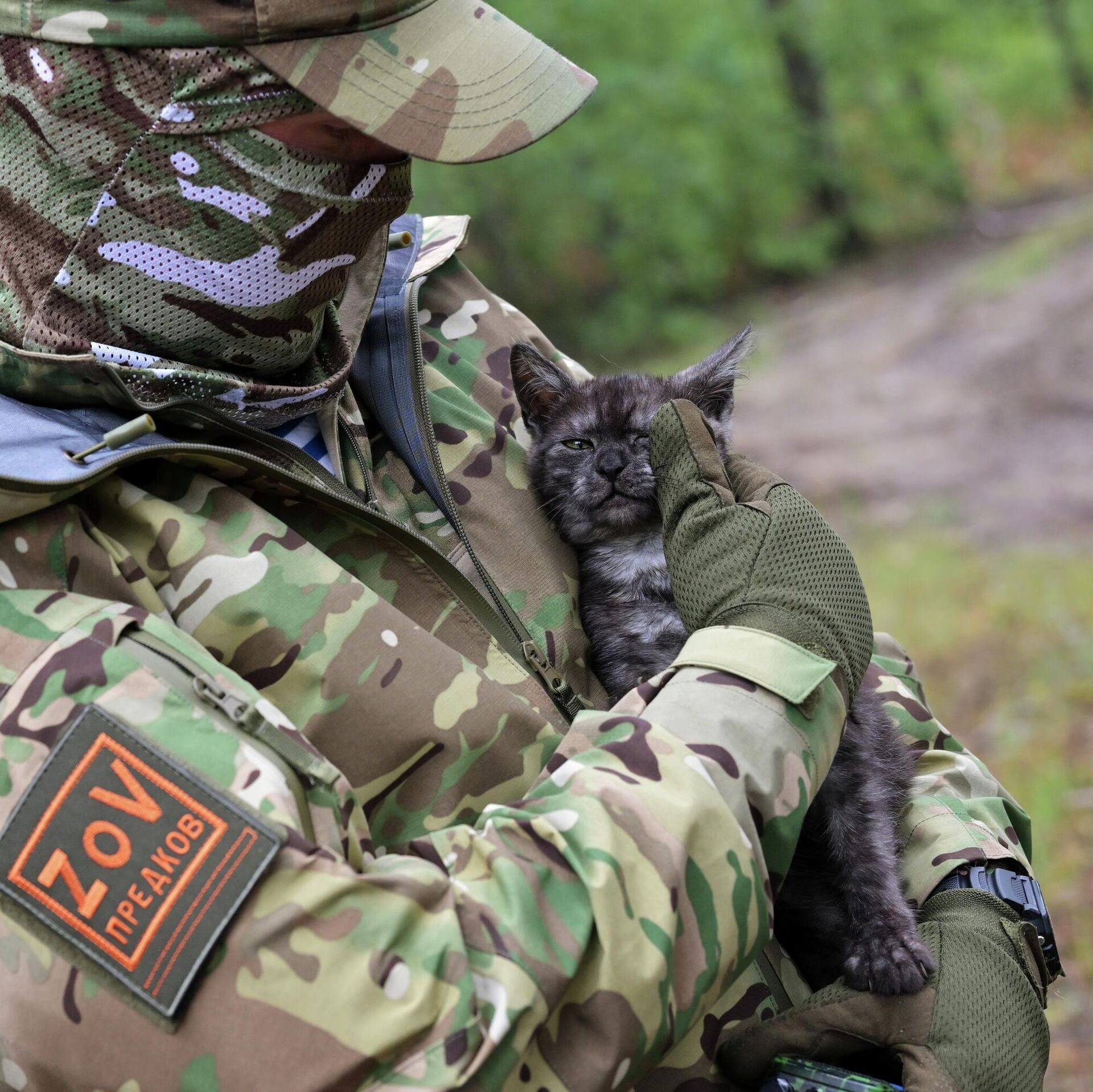 Furry Troops: Cats Living in Special Military Op Area
