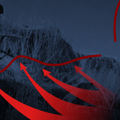 Multimedia - today's latest news and major events - Sputnik International