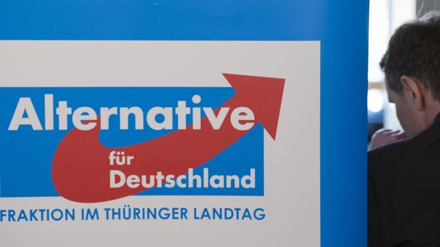 AfD Advocating for Germany's Exit From EU – Election Program