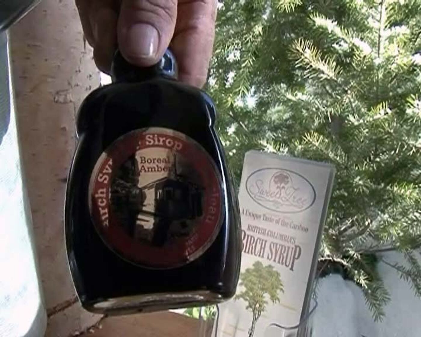 Inside Canada: maple syrup country falls in love with birch sap - 25.02 ...